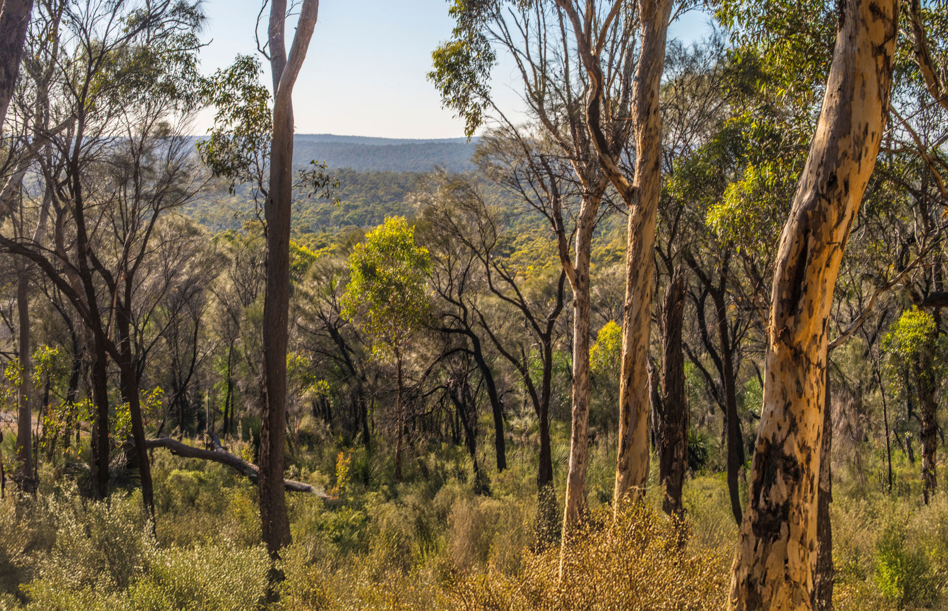 Register your account